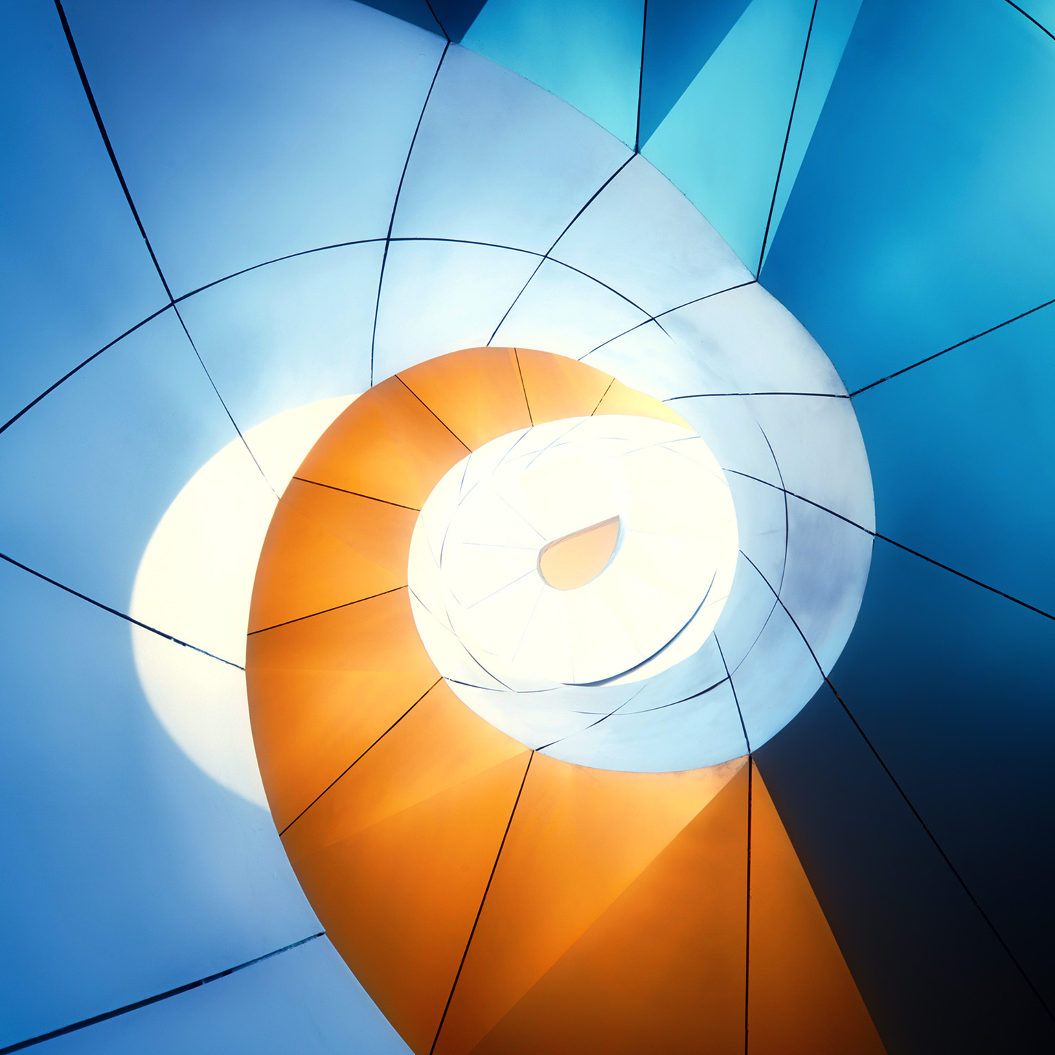 Procurement trends in 2024 and beyond | McKinsey