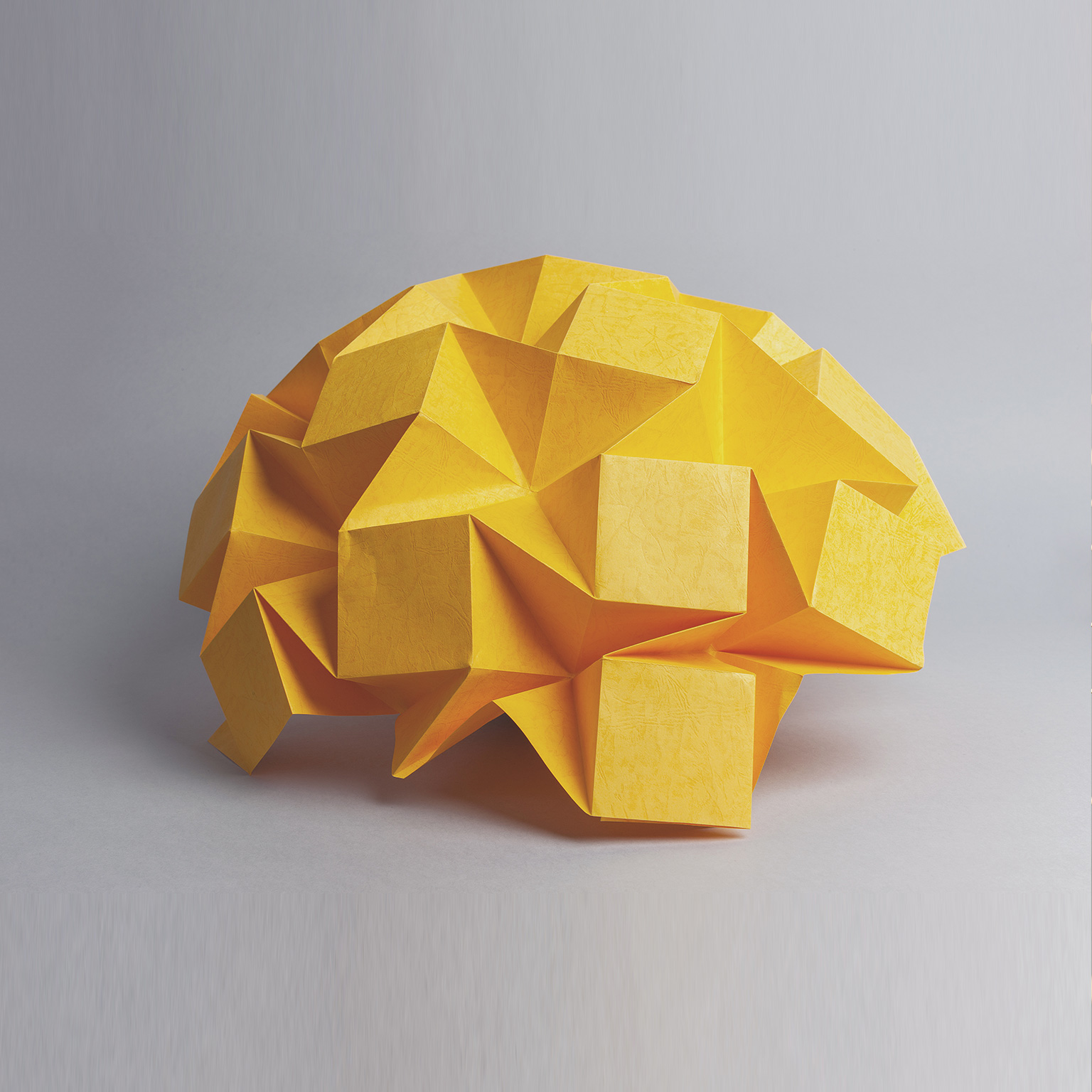 Como o design generativo poderia redefinir o futuro do desenvolvimento ...