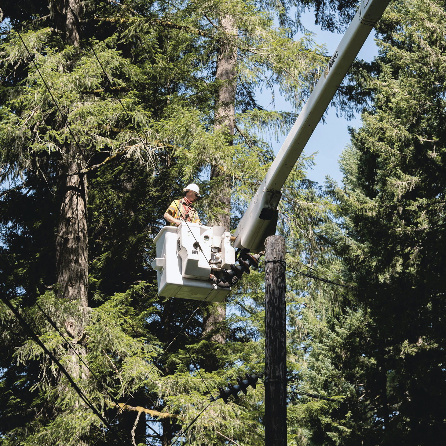 The shifting energy landscape: An interview with Maria Pope | McKinsey