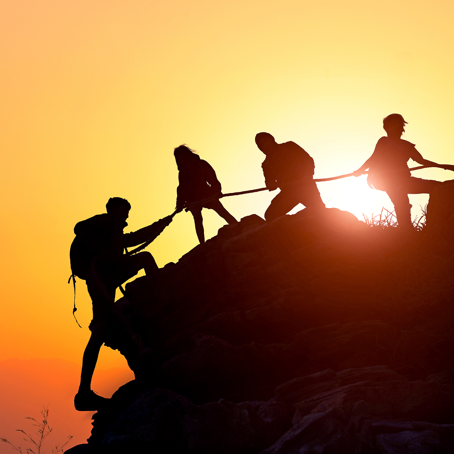 Demystifying top-team performance: a CEO guide | McKinsey