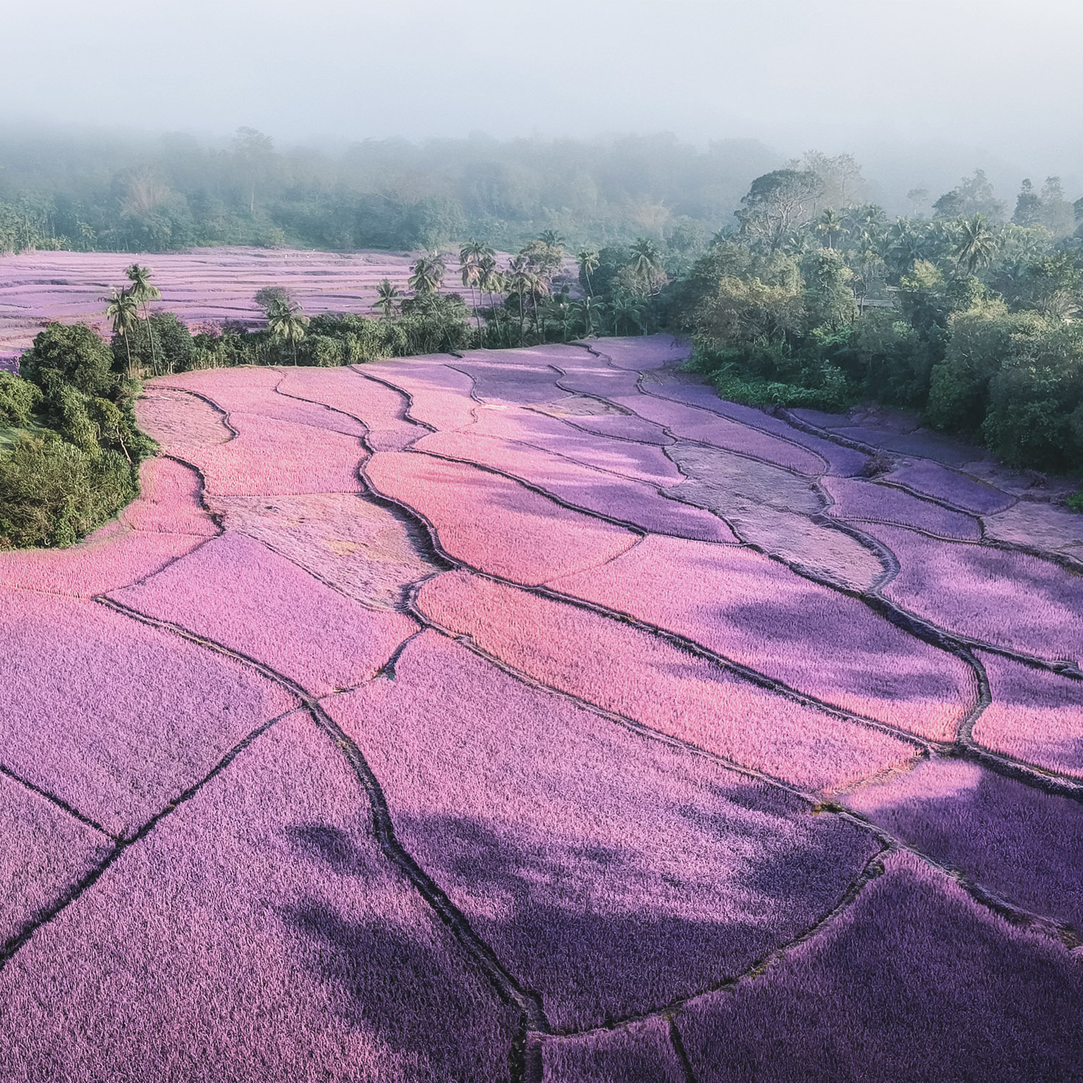 Committing to innovation with Irene Vittal | McKinsey