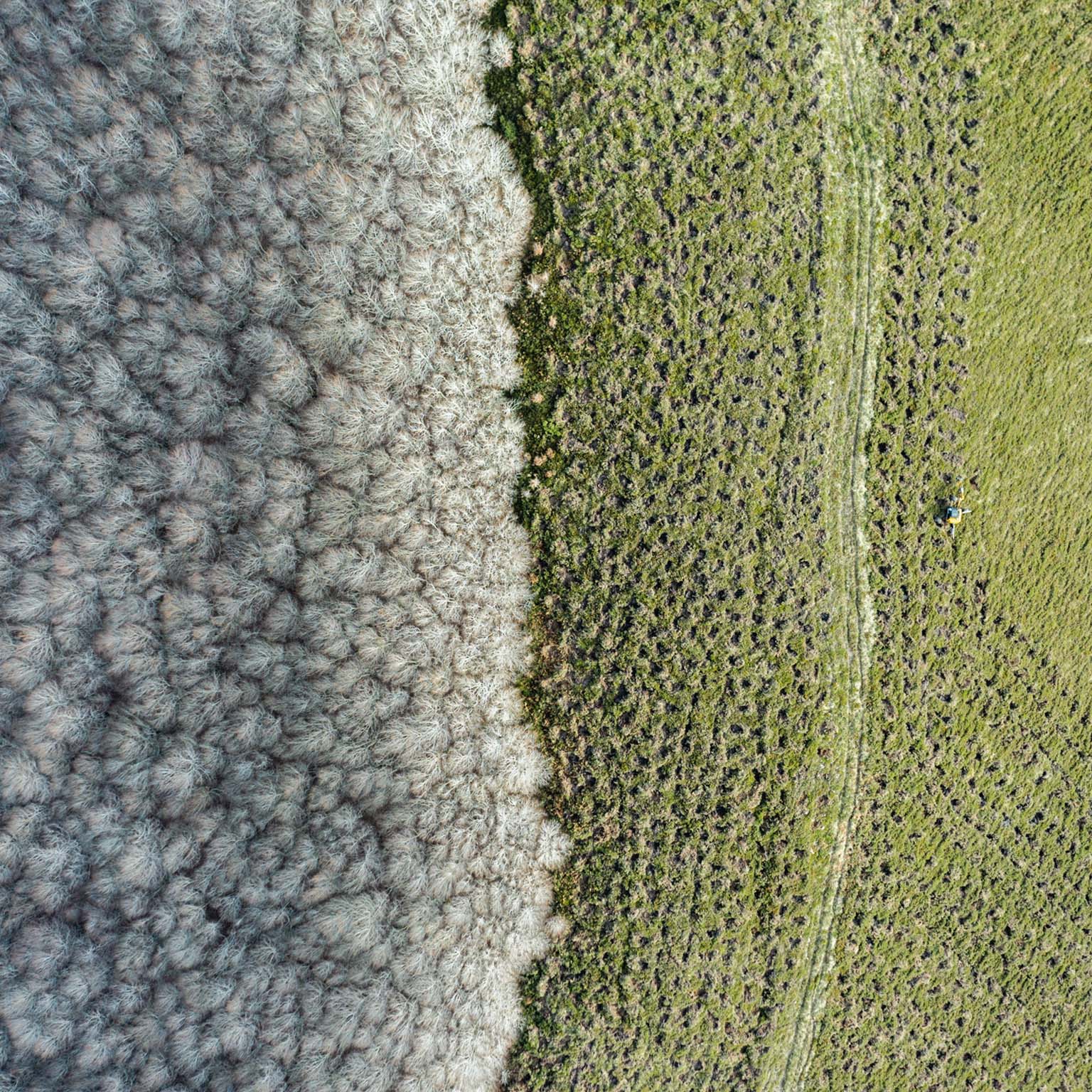 Six characteristics that define net zero | McKinsey