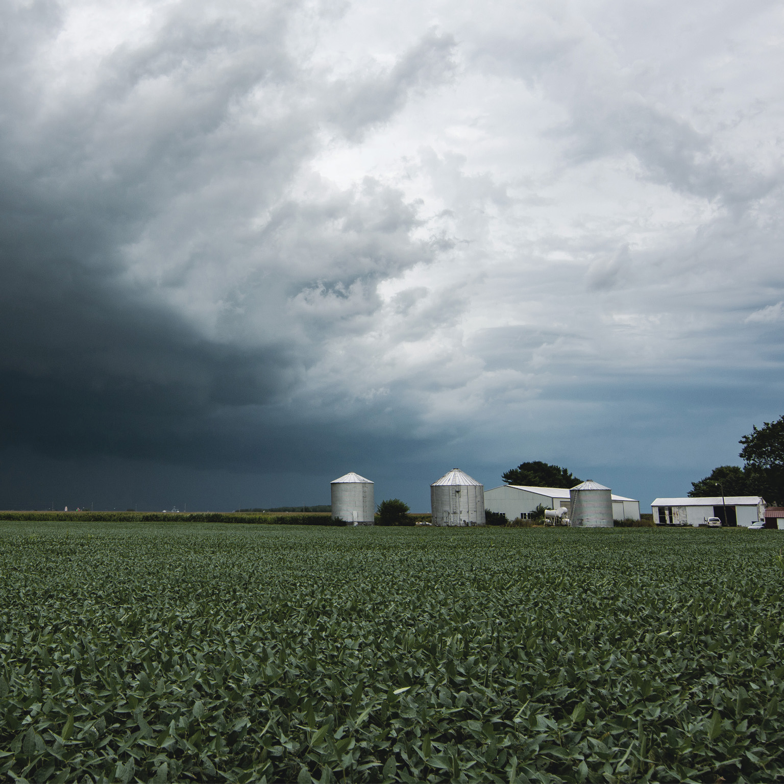 How the Iowa derecho has affected 2020 crops | McKinsey